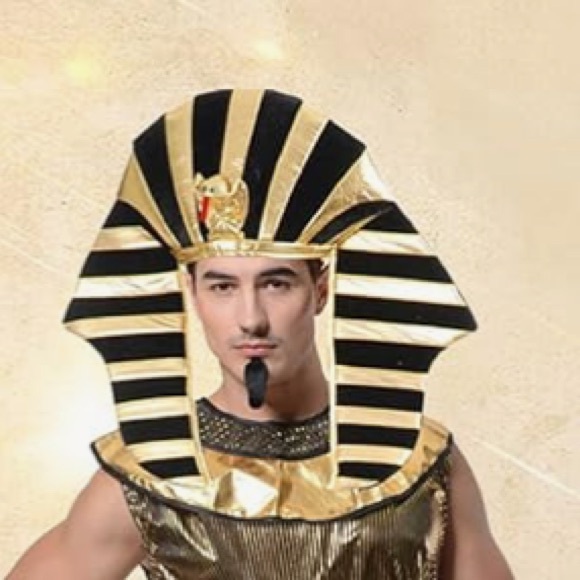Other | Egyptian Pharaoh King Of Egypt Adult Hood And Snake Pole | Poshmark